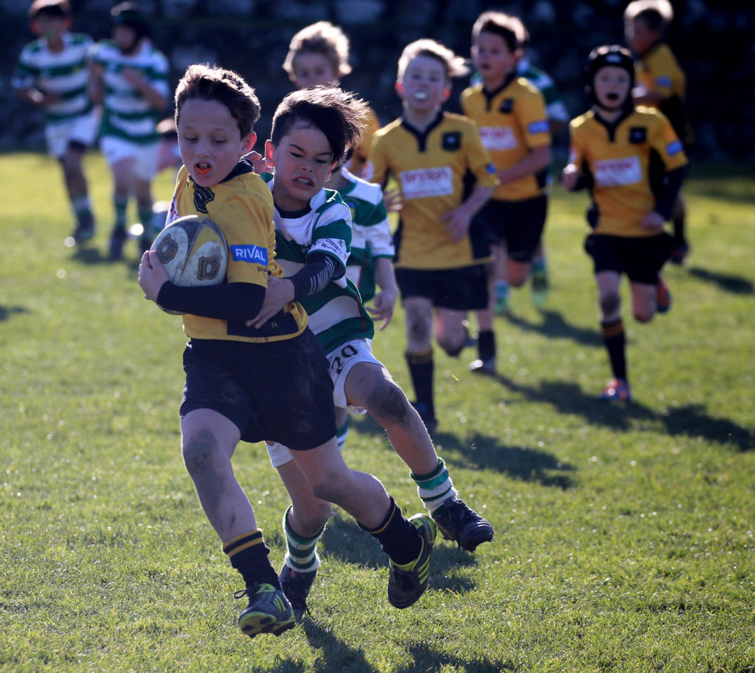 JAB teams back in rugby action - Wairarapa Times-Age