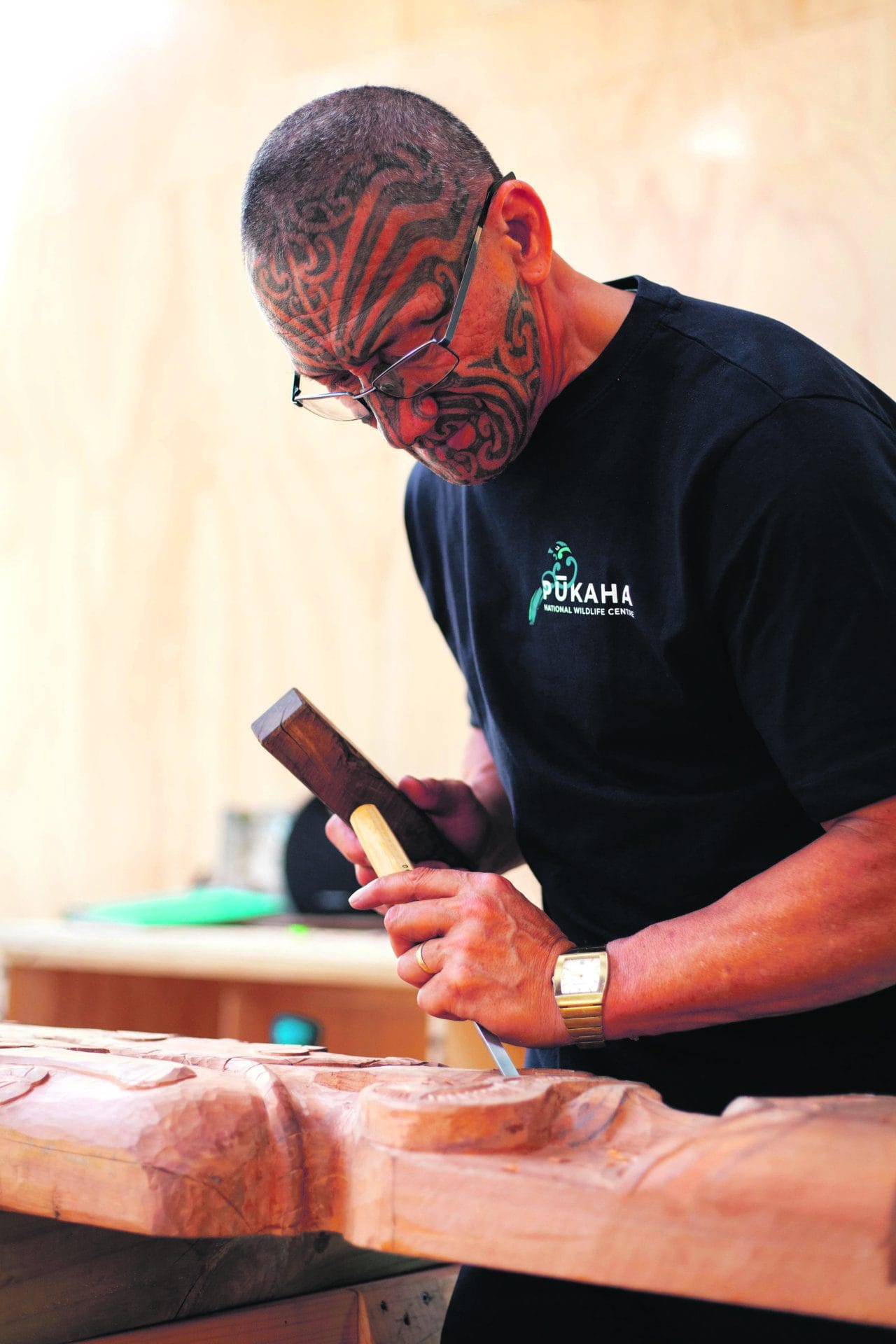 Workshop carves a new future - Wairarapa Times-Age