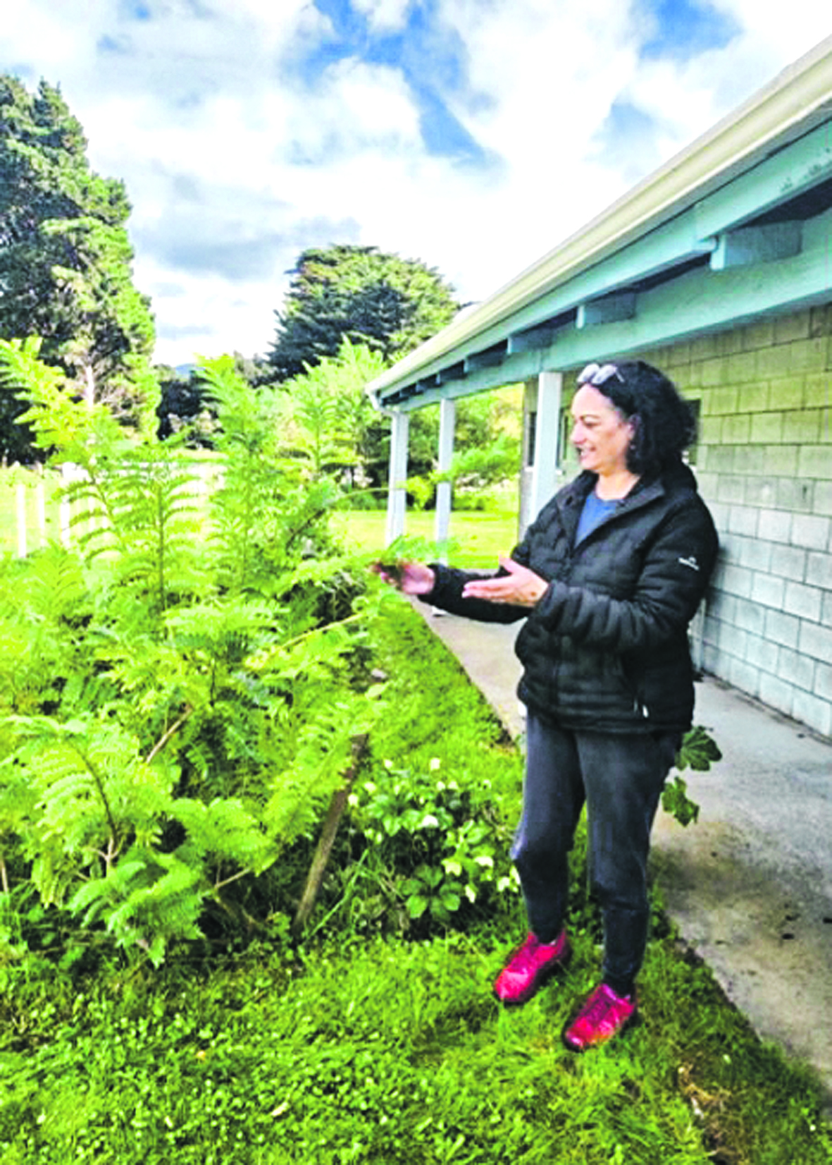 Nursing native plants from seed to heal damaged moana - Wairarapa Times-Age